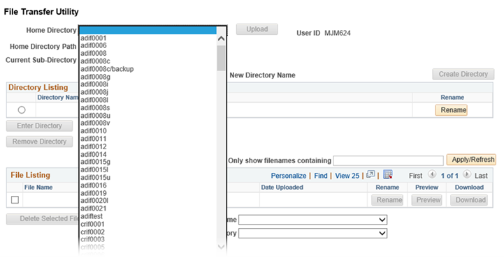 Use the Peoplesoft File Transfer Protocol (FTP) Utility | IT@Cornell